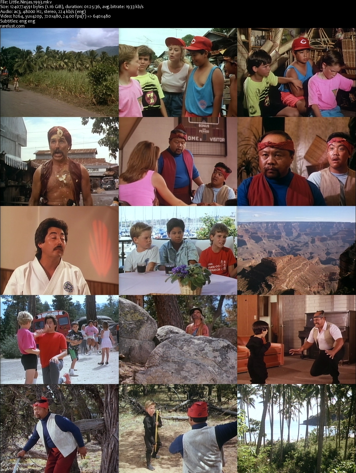 Little Ninjas (1993) – Rarelust